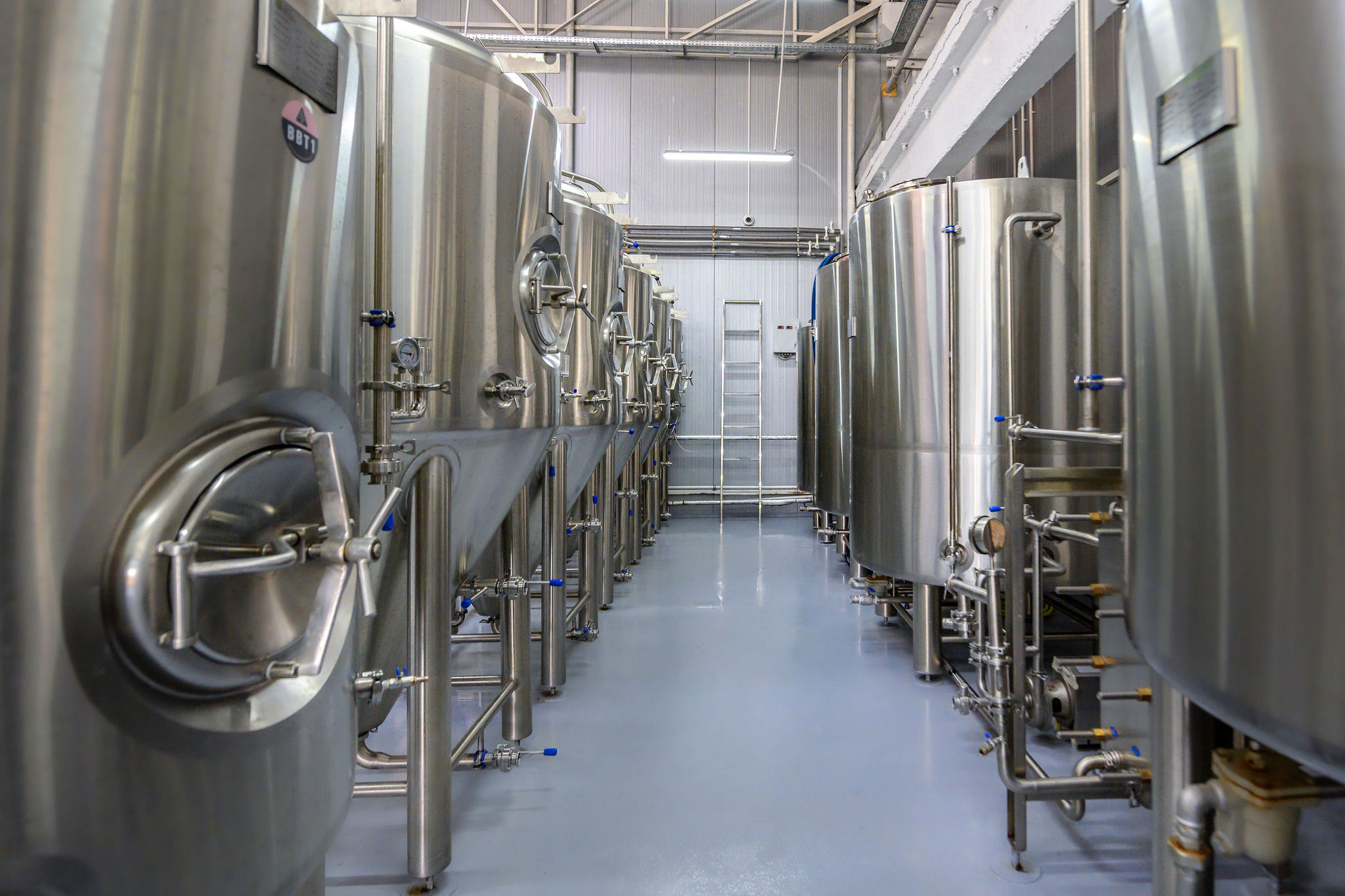 The Anagram Story | Brewing Philosophy